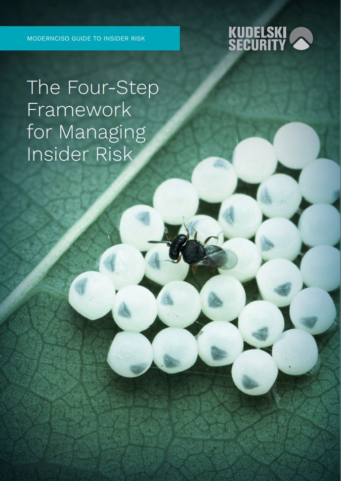 The Four-Step Framework for Managing Insider Risk
